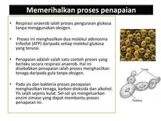 BIOTEKNOLOGI.pptx