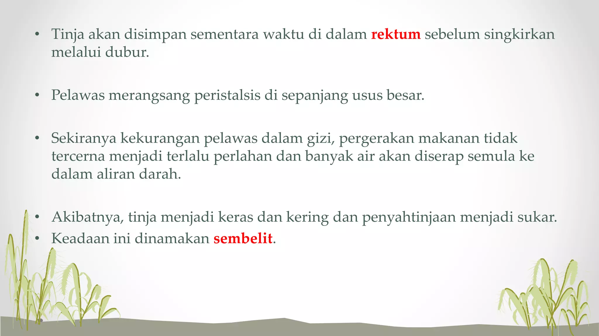 Bab 3 proses penyerapan hasil pencernaan | PPTX