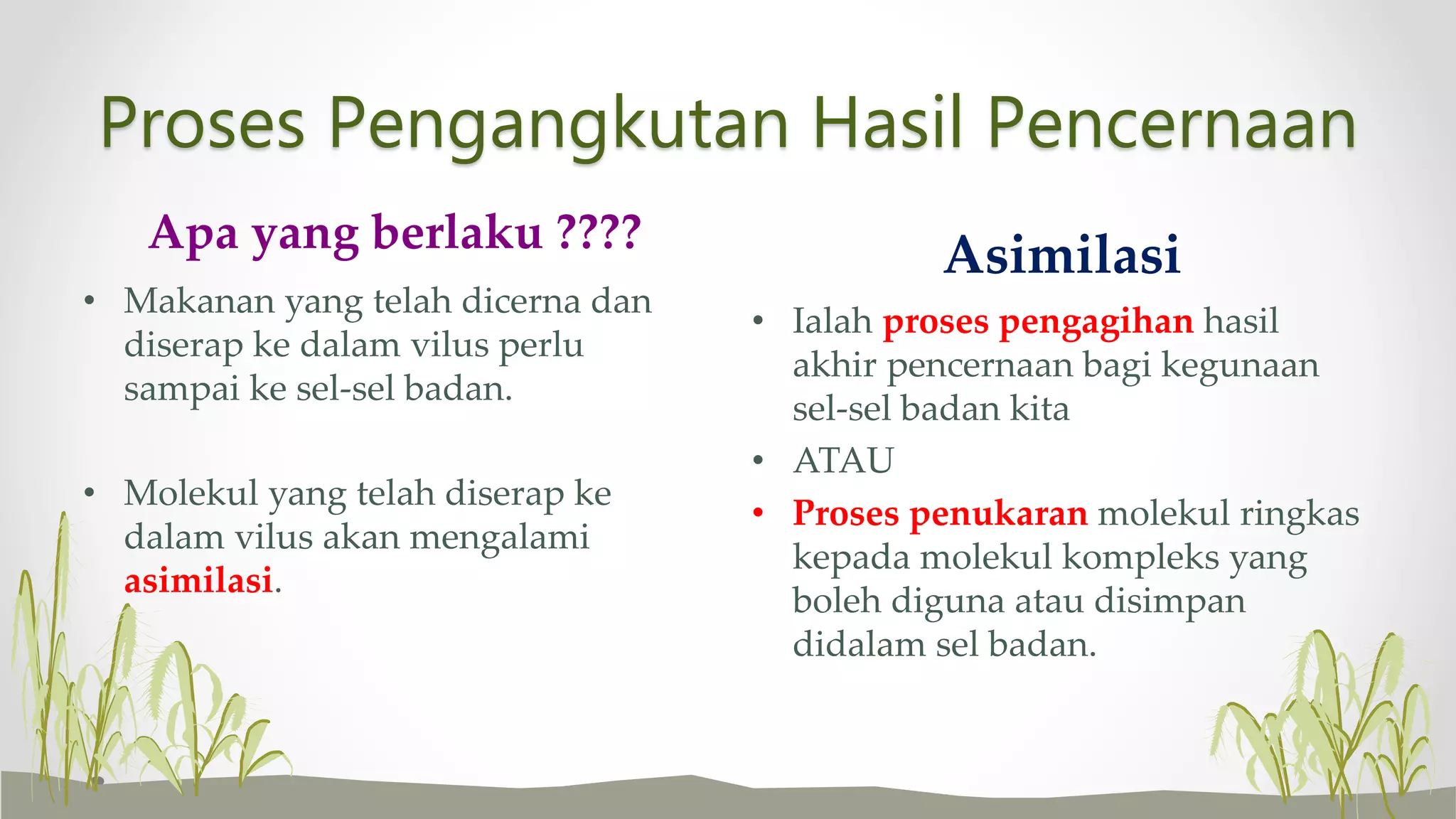 Bab 3 proses penyerapan hasil pencernaan | PPTX