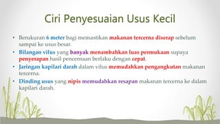 Bab 3 proses penyerapan hasil pencernaan | PPTX