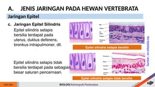 BAB 3 - STRUKTUR DAN FUNGSI JARINGAN HEWAN - NEW-std.pptx