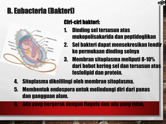 Bab 3 Archaebacteria dan Eubacteria.pptx