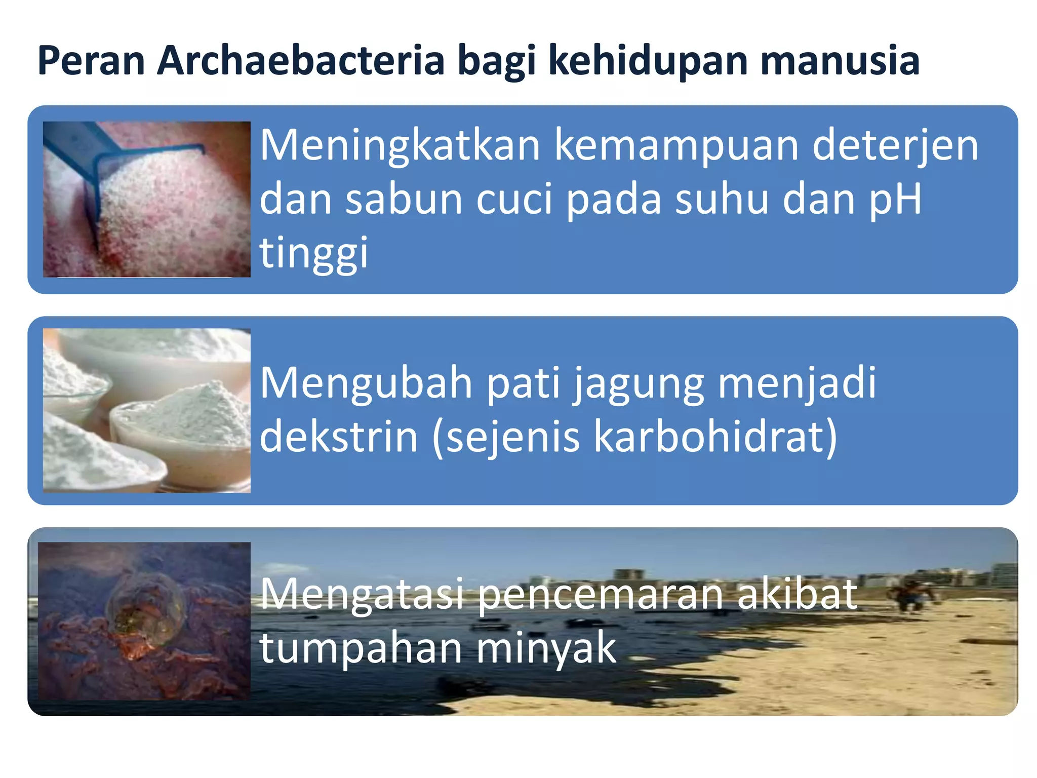 Bab 3 Archaebacteria dan Eubacteria_www.kampusimpian.com.pptx