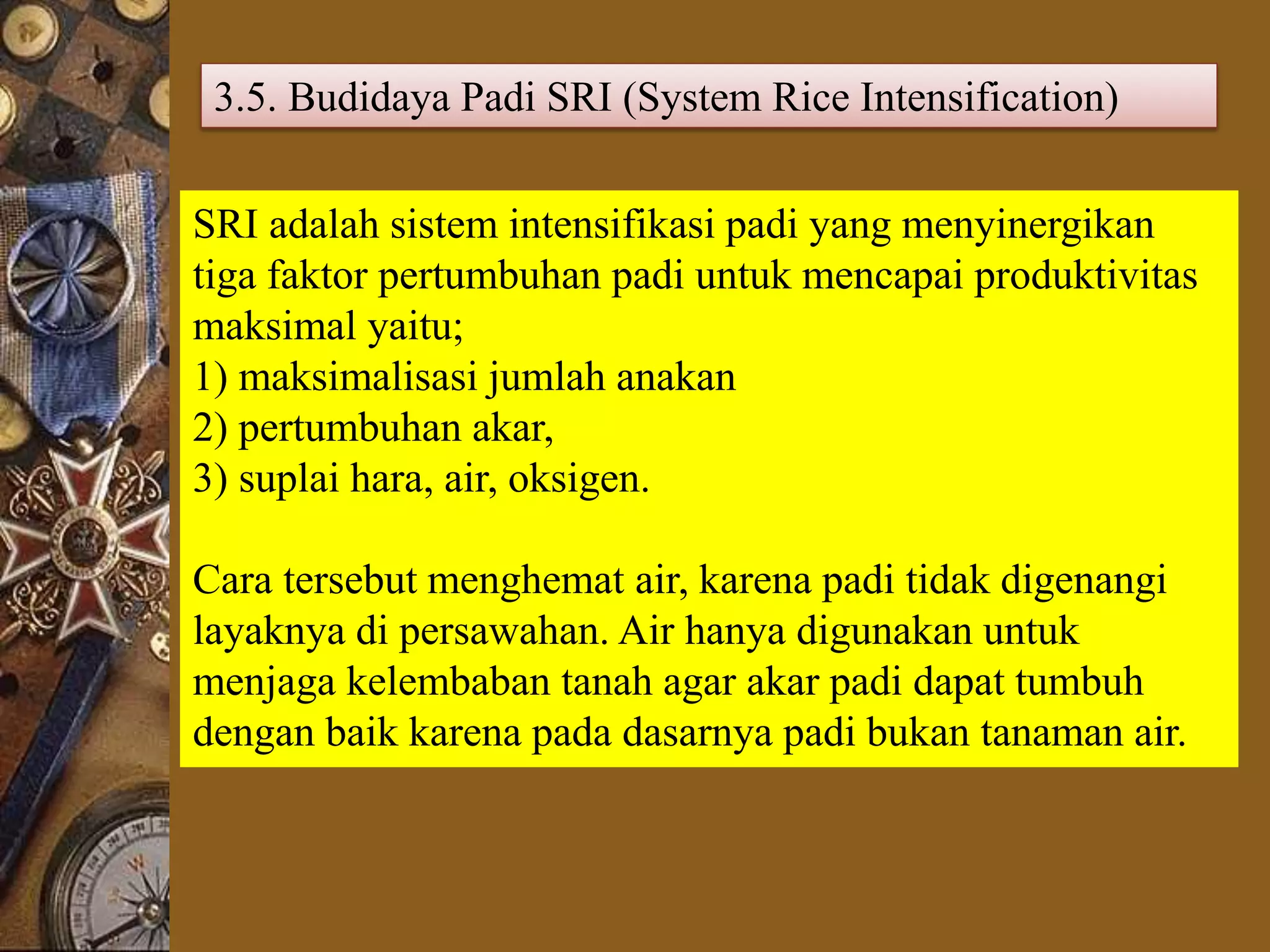 HAND-OUT KULIAH BUDIDAYA TANAMAN PANGAN D3-PSL UNSOED Bab 3 budidaya ...
