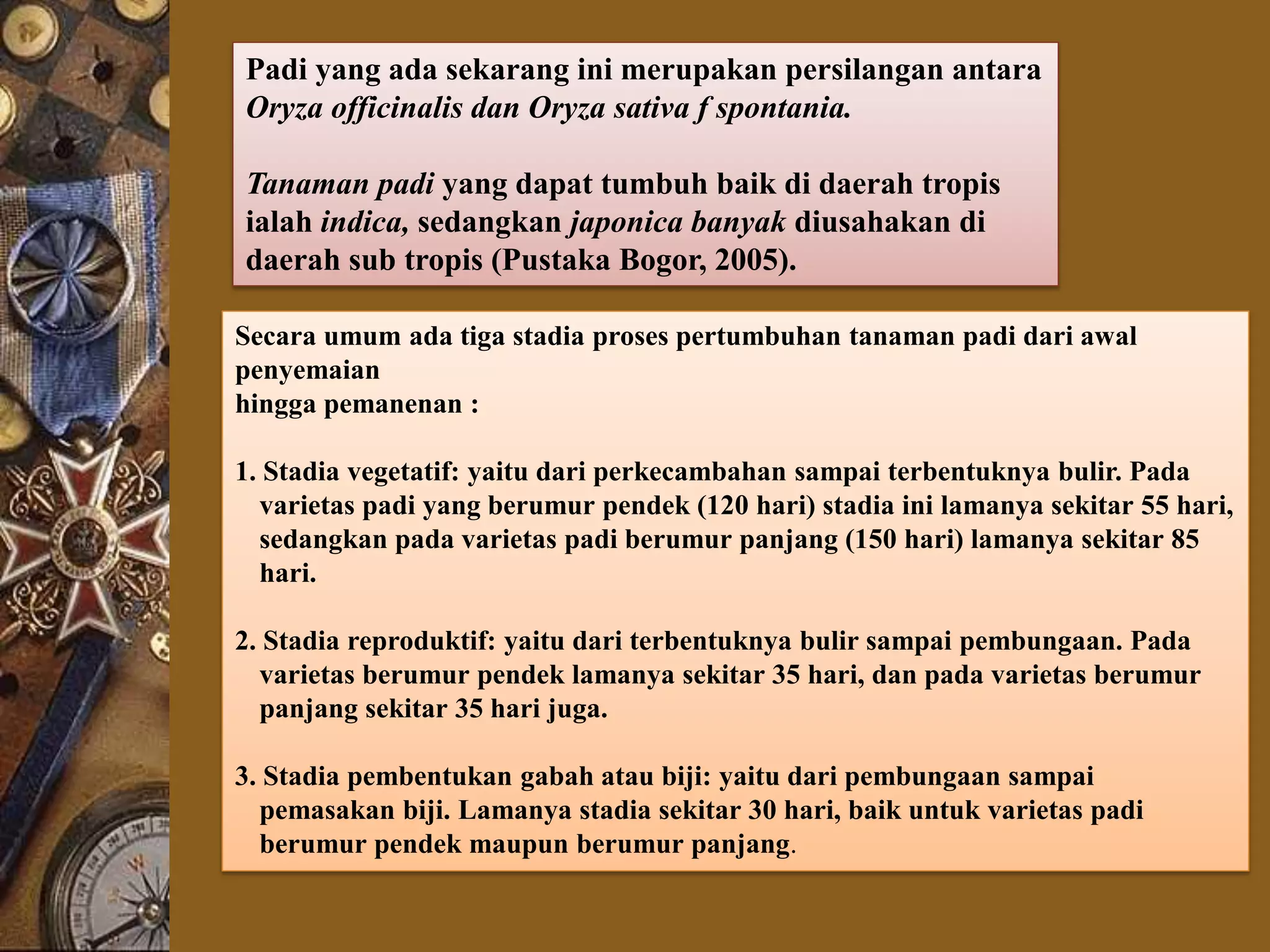 HAND-OUT KULIAH BUDIDAYA TANAMAN PANGAN D3-PSL UNSOED Bab 3 budidaya ...
