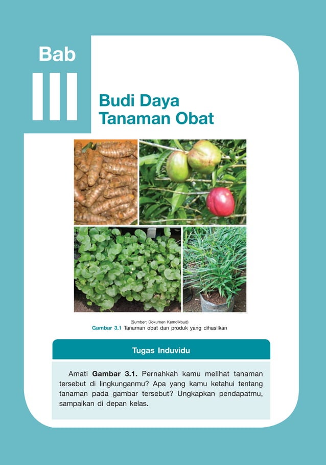 Bab 3 budidaya tanaman obat | PDF