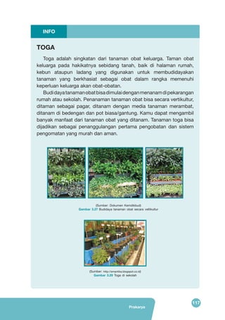 Bab 3 budidaya tanaman obat | PDF
