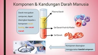 Bab 3 darah manusia | PPTX