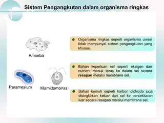 BAB 3 F3 KSSM 2019.ppt