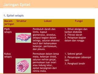 Bab 3 jaringan hewan | PPT
