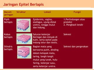Bab 3 jaringan hewan | PPT