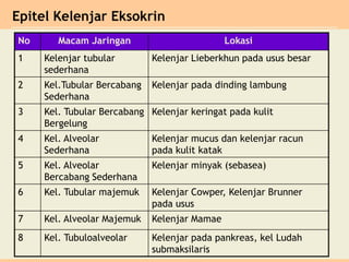 Bab 3 JARINGAN HEWAN.ppt