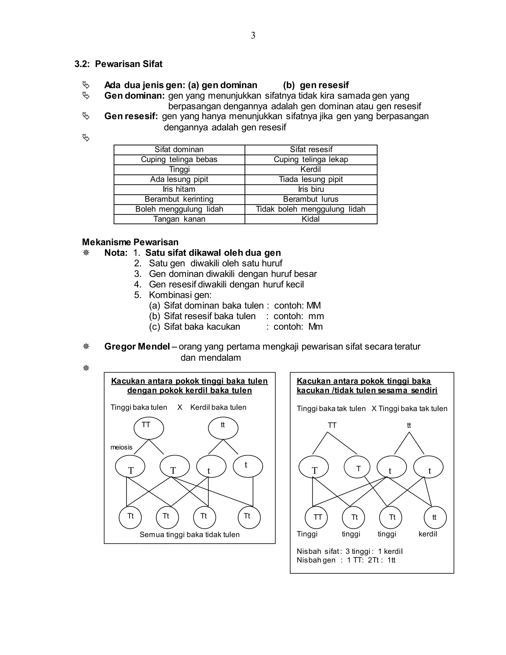 Bab 3 keturunan dan variasi | DOC