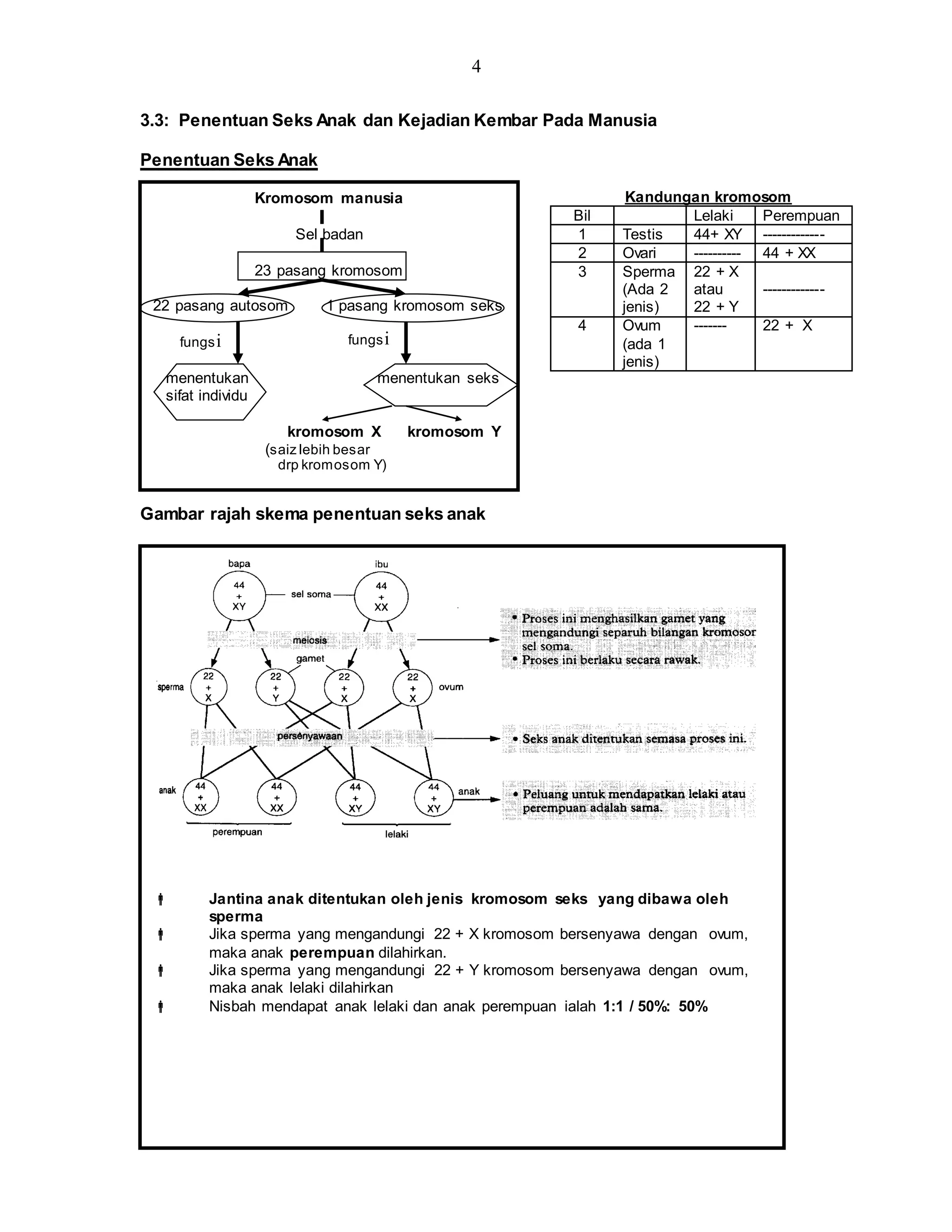 Bab 3 Keturunan Dan Variasi Pdf 