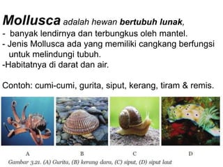 Bab 3 klasifikasi hewan dan tumbuhan | PPTX