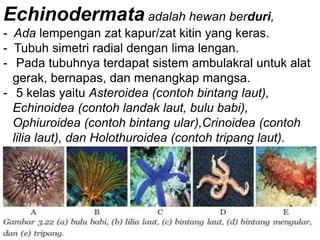 Bab 3 klasifikasi hewan dan tumbuhan | PPTX