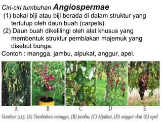 Bab 3 klasifikasi hewan dan tumbuhan | PPTX