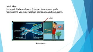Bab 3 Mata pelajaran Biologi Genetik XII IPS.pptx