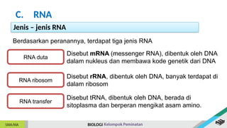 BAB 3 MATERI GENETIK dan proses pewarisan sifat .pptx