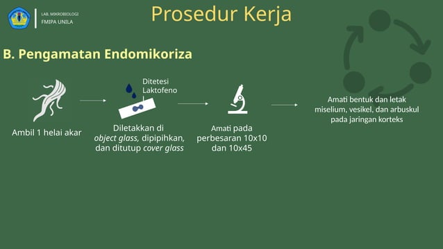 BAB 3_Mikoriza_Mikobiologi Tanah_2021.pptx