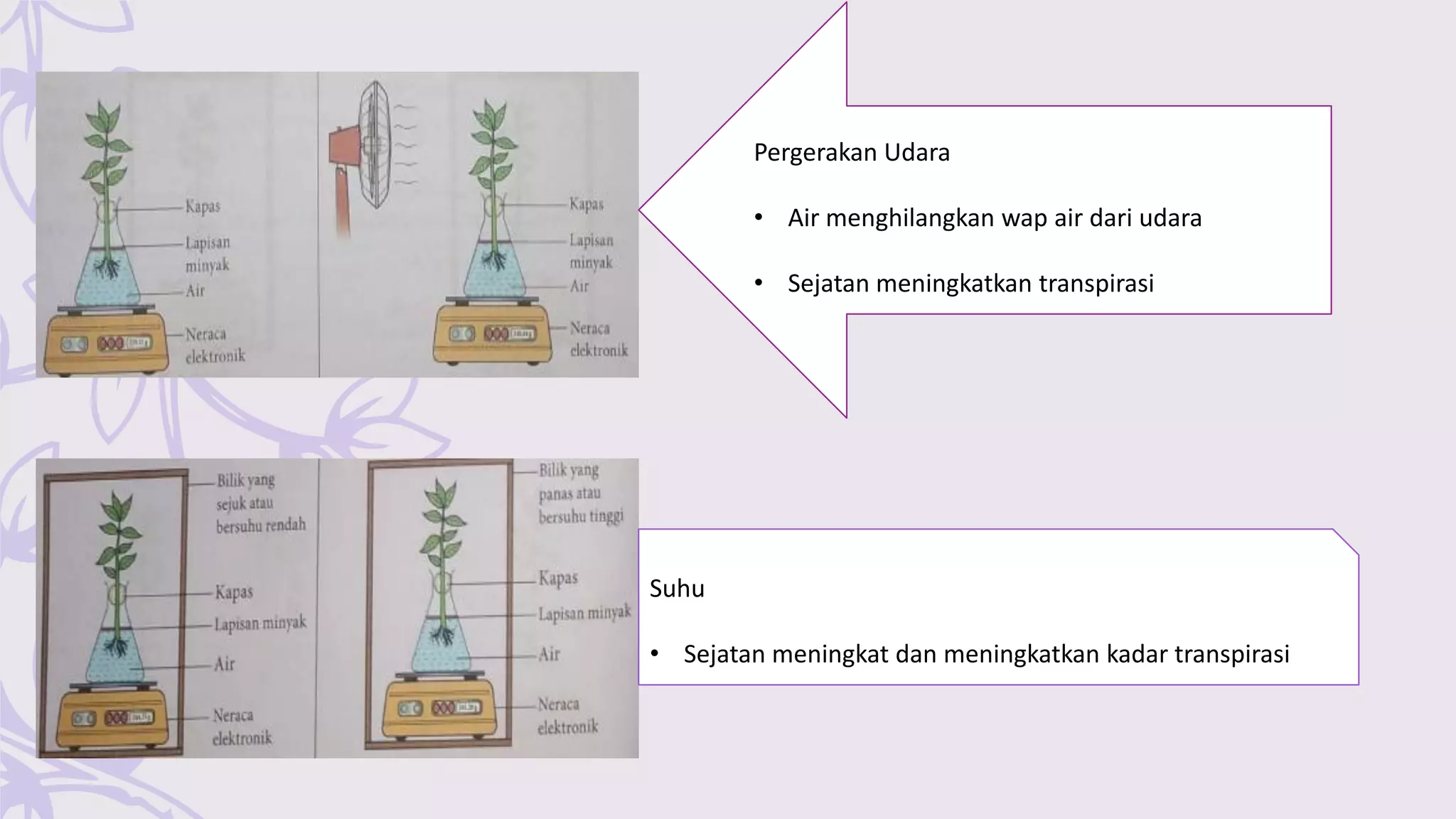 Bab 3 pengangkutan dalam tumbuhan | PDF
