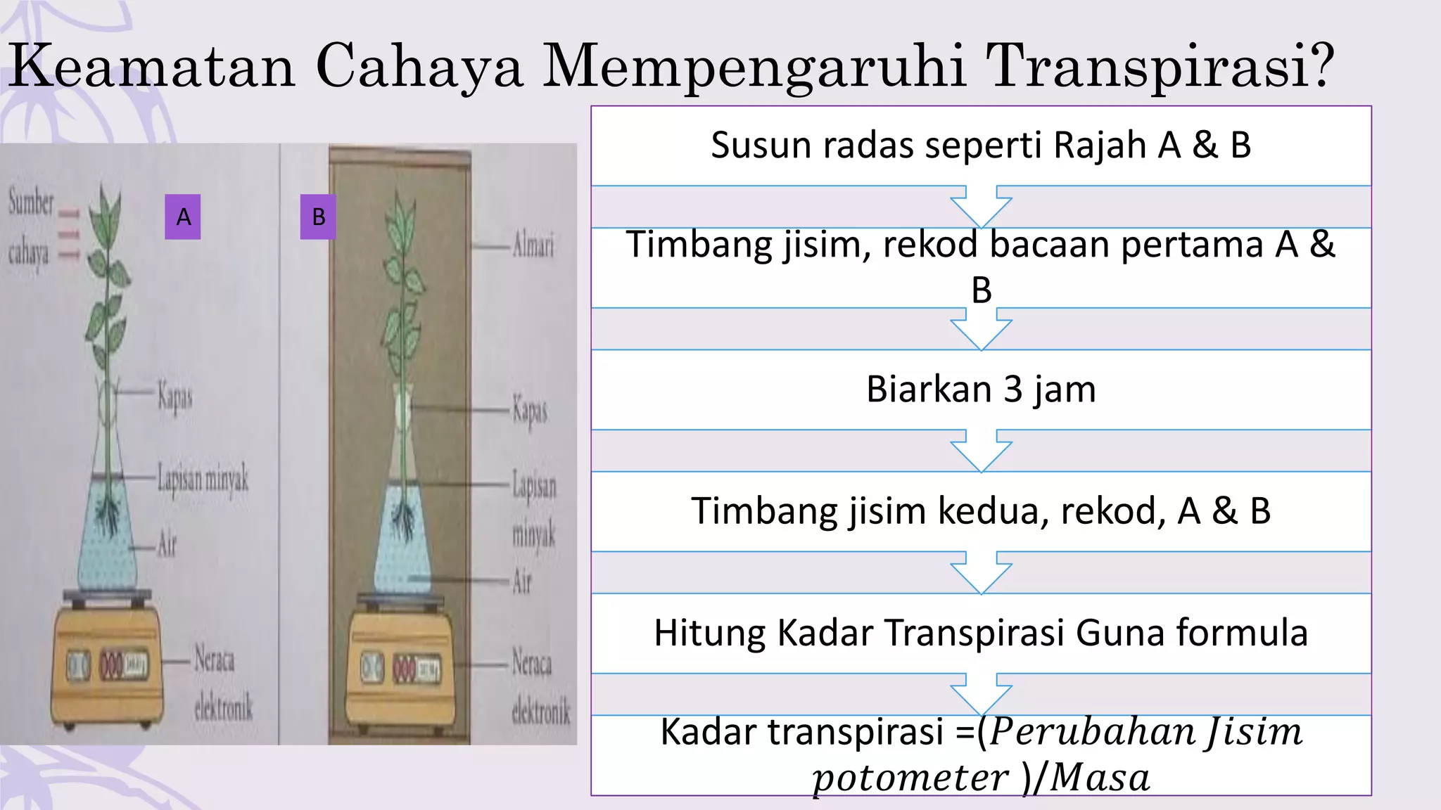 Bab 3 Pengangkutan Dalam Tumbuhan Pdf