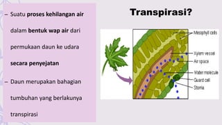 Bab 3 pengangkutan dalam tumbuhan | PDF