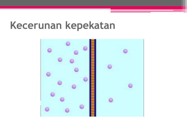 Bab 3 pergerakan bahan2 merentasi membran plasma | PPTX