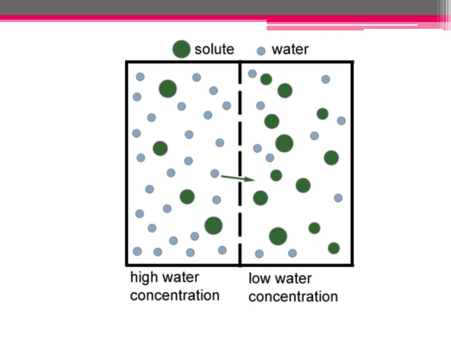 Bab 3 pergerakan bahan2 merentasi membran plasma | PPTX