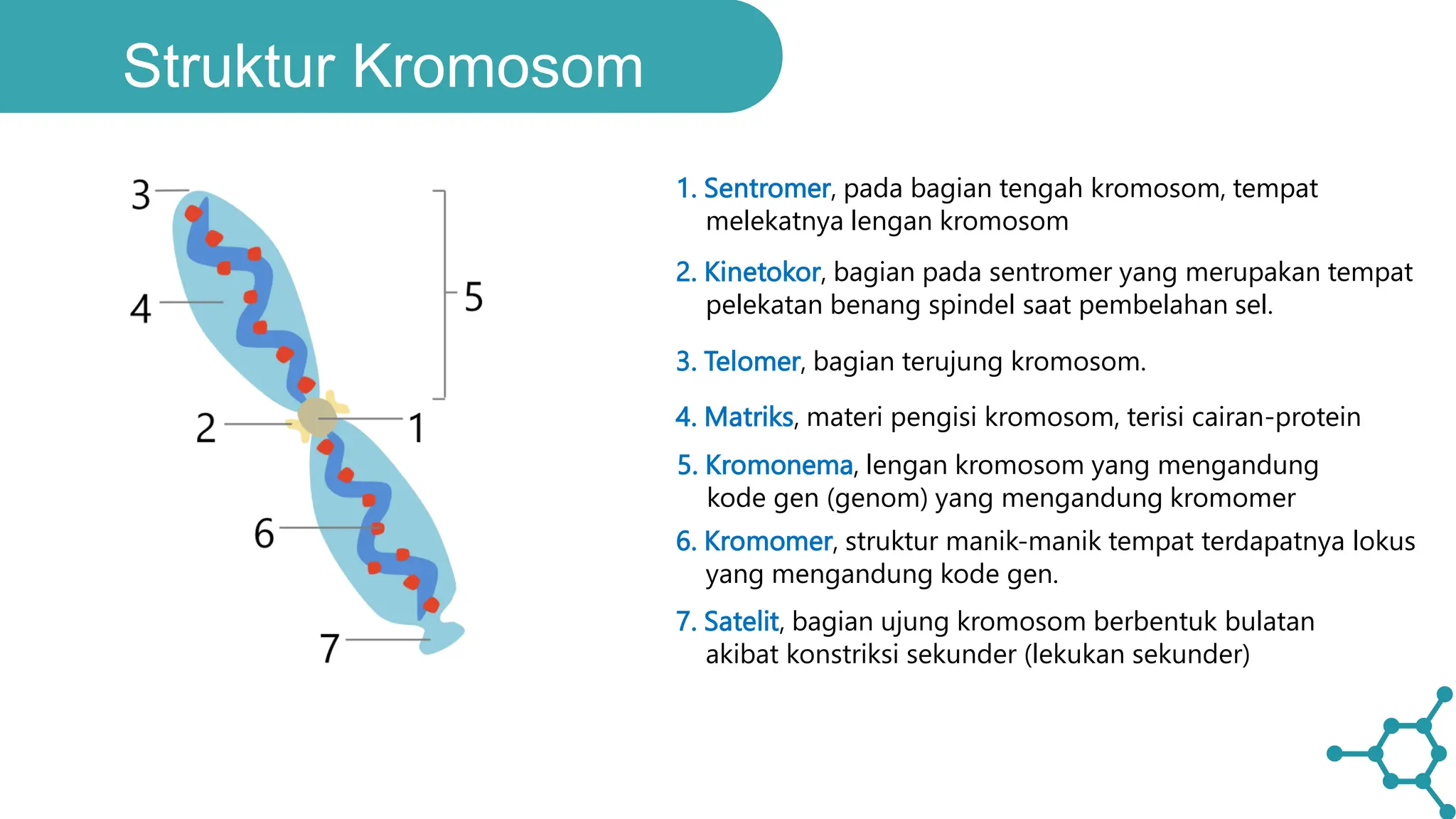 Biologi BAB 3 Pertemuan 1 (DNA dan RNA).pdf
