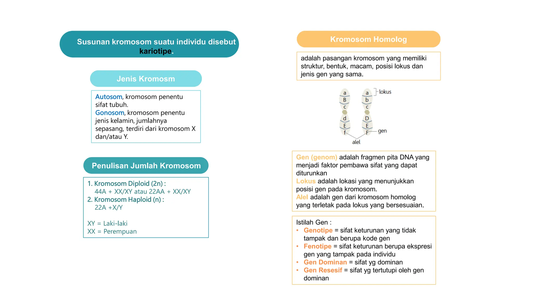 Biologi BAB 3 Pertemuan 1 (DNA dan RNA).pdf