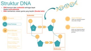 Biologi BAB 3 Pertemuan 1 (DNA dan RNA).pdf