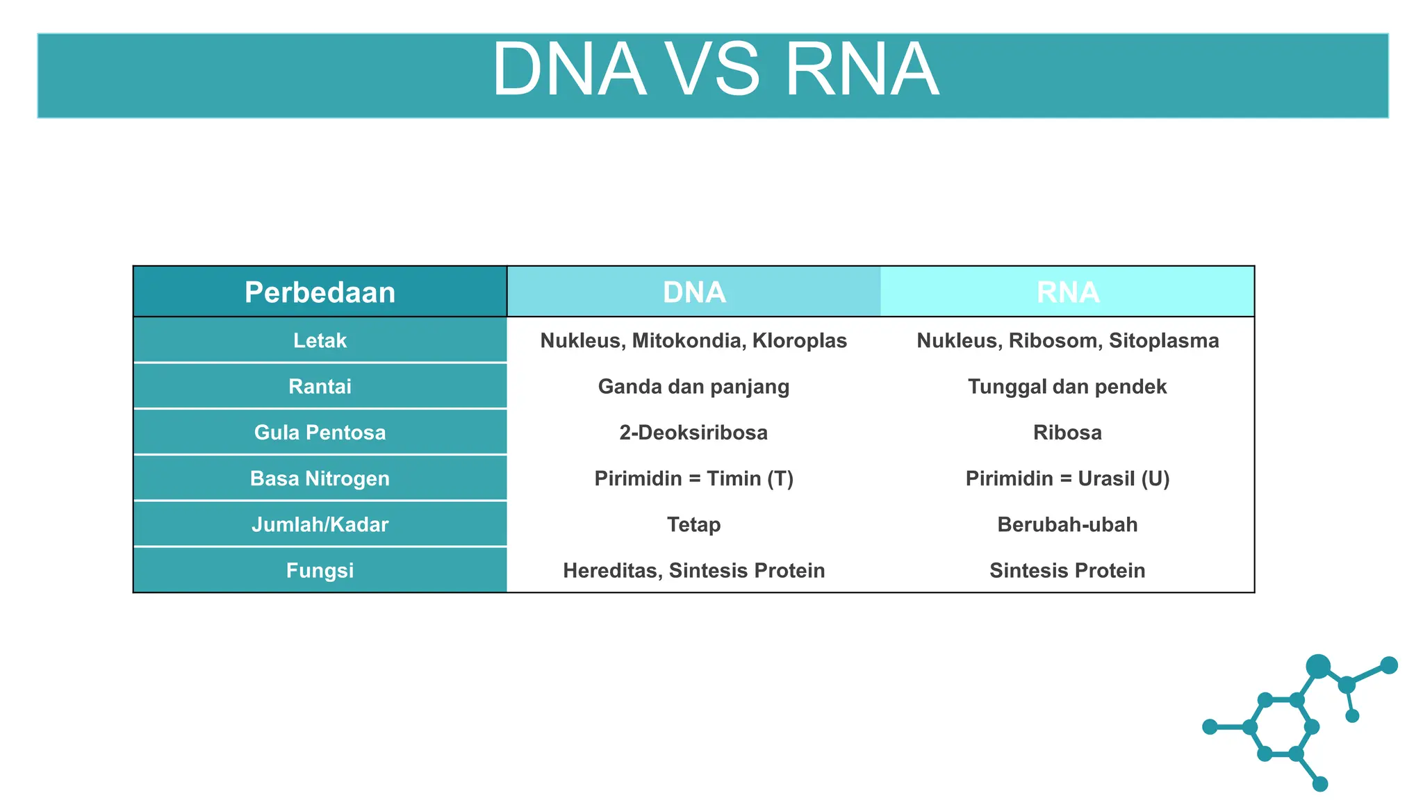 BAB 3 Pertemuan 1 kelas 12(DNA dan RNA).pdf