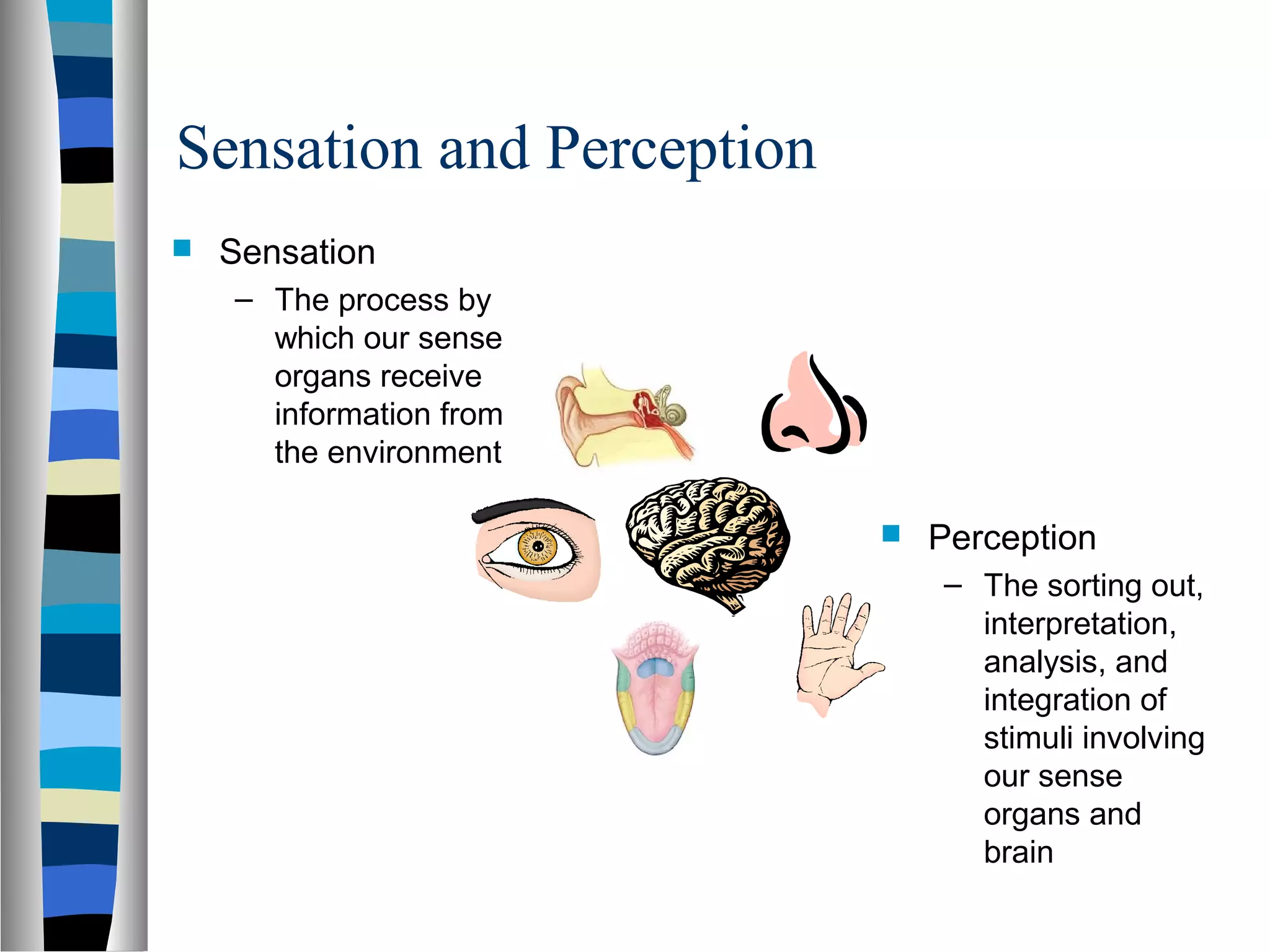 ASAS PSIKOLOGI sensation and perception | PPT