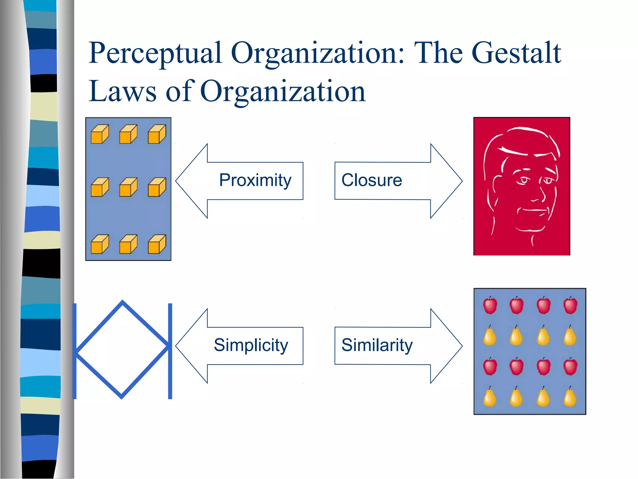 ASAS PSIKOLOGI sensation and perception | PPT