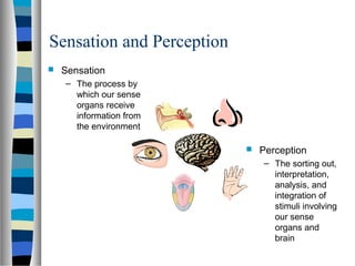 ASAS PSIKOLOGI sensation and perception | PPT