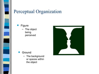 ASAS PSIKOLOGI sensation and perception | PPT