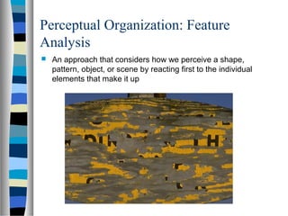 ASAS PSIKOLOGI sensation and perception | PPT