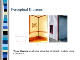 ASAS PSIKOLOGI sensation and perception | PPT