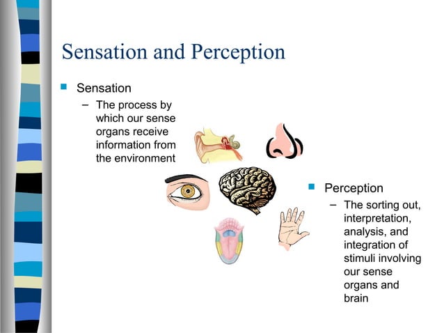 ASAS PSIKOLOGI sensation and perception