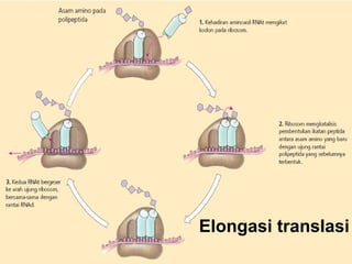 Bab 3 sintesis protein | PPT