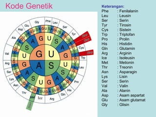 Bab 3 sintesis protein | PPT