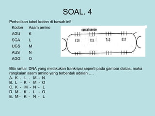 Bab 3 sintesis protein | PPT