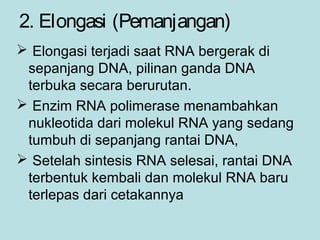 Bab 3 sintesis protein | PPT
