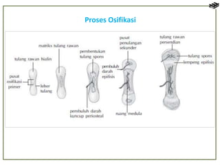Bab 3 Sistem Gerak Manusia.pptx