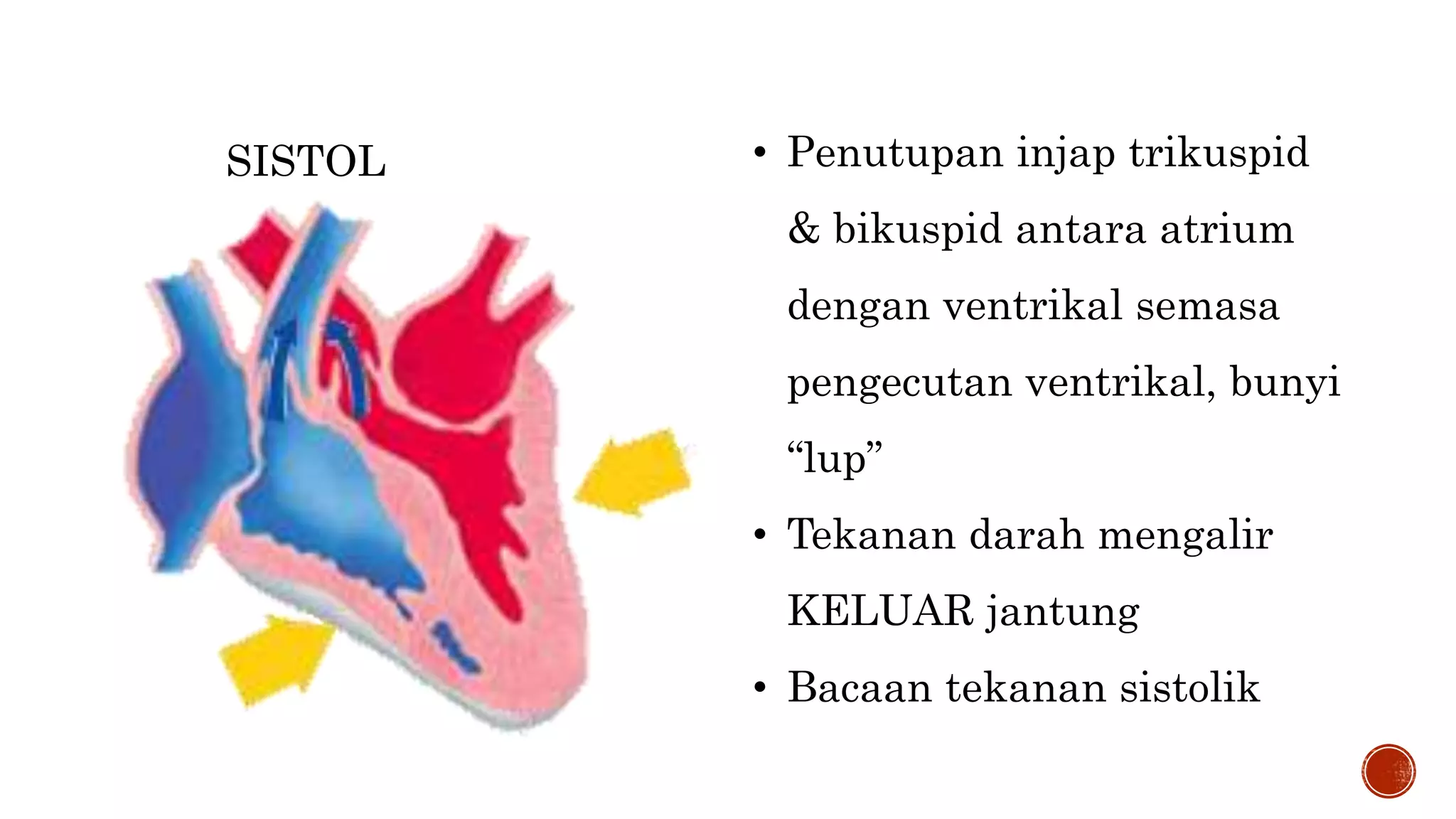 Bab 3 sistem peredaran darah manusia | PPTX
