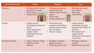 Bab 3 sistem peredaran darah manusia | PPTX