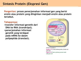 Bab 3 substansi genetik kelas XII IPA | PPT