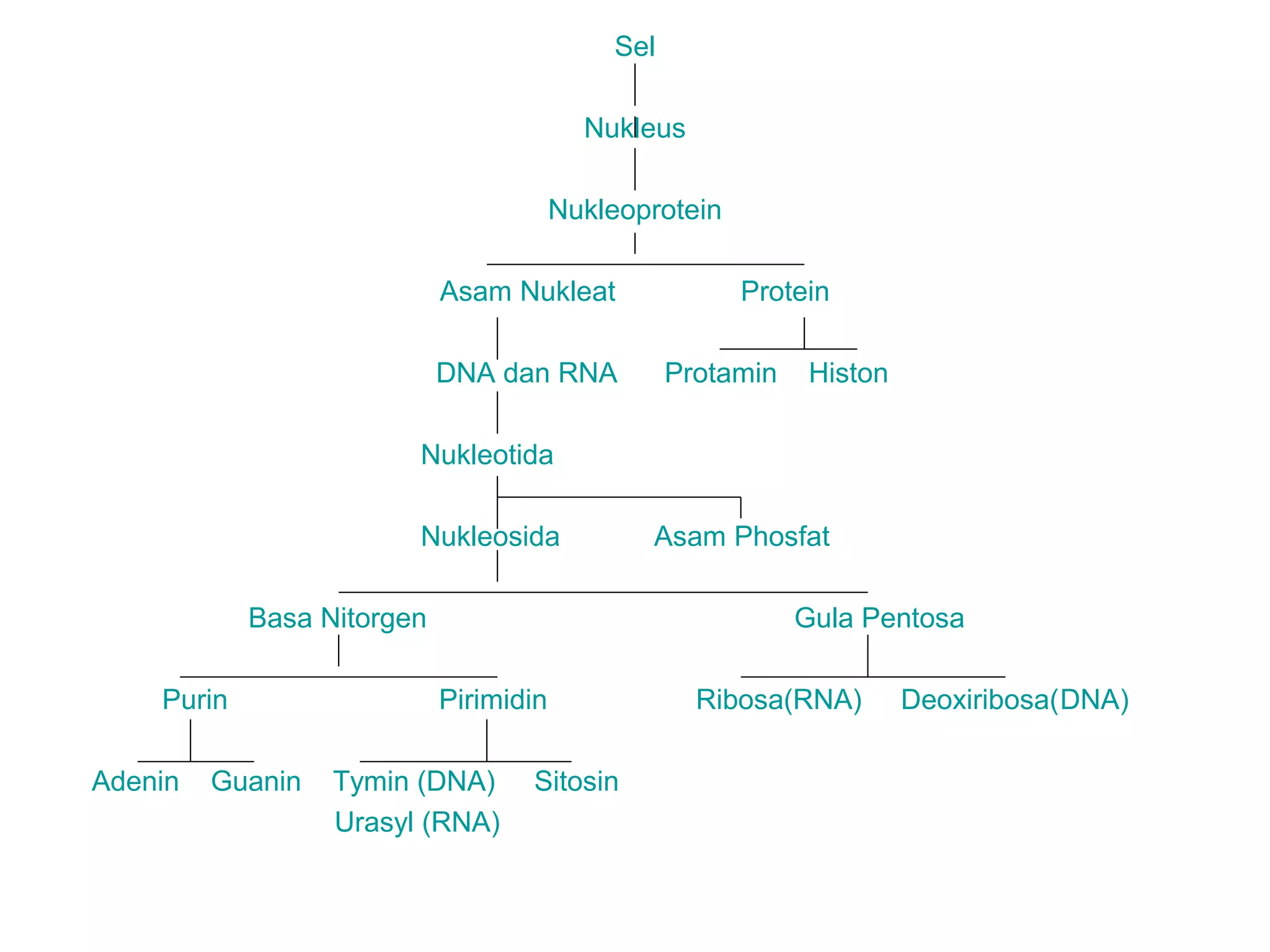 Bab 3 substansi genetika | PPT