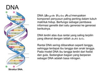 Bab 3: Substansi Genetika | PPT